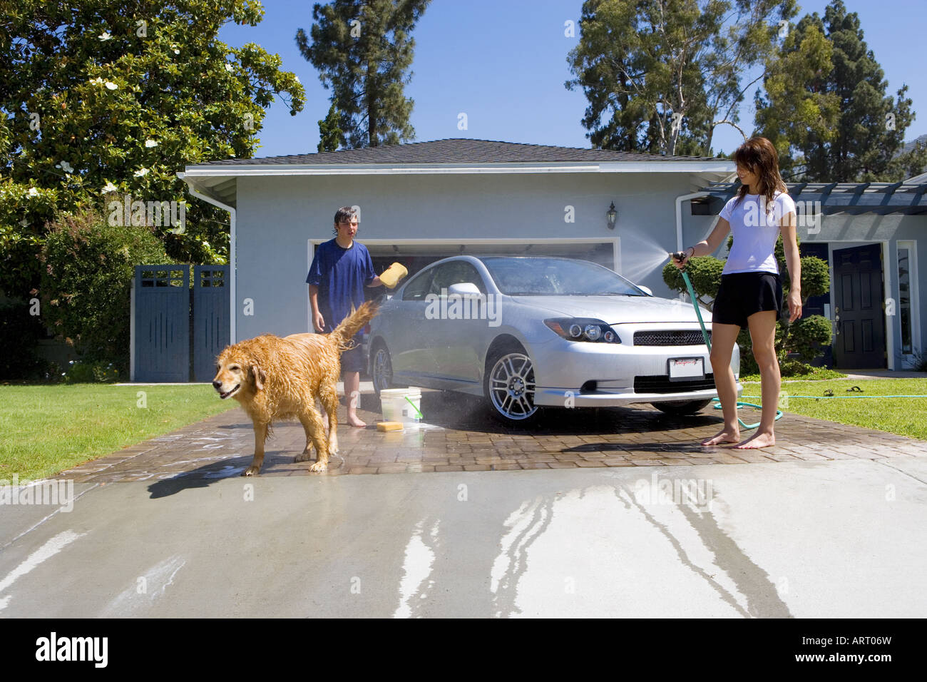 Girl spraying dog in driveway Stock Photo - Alamy