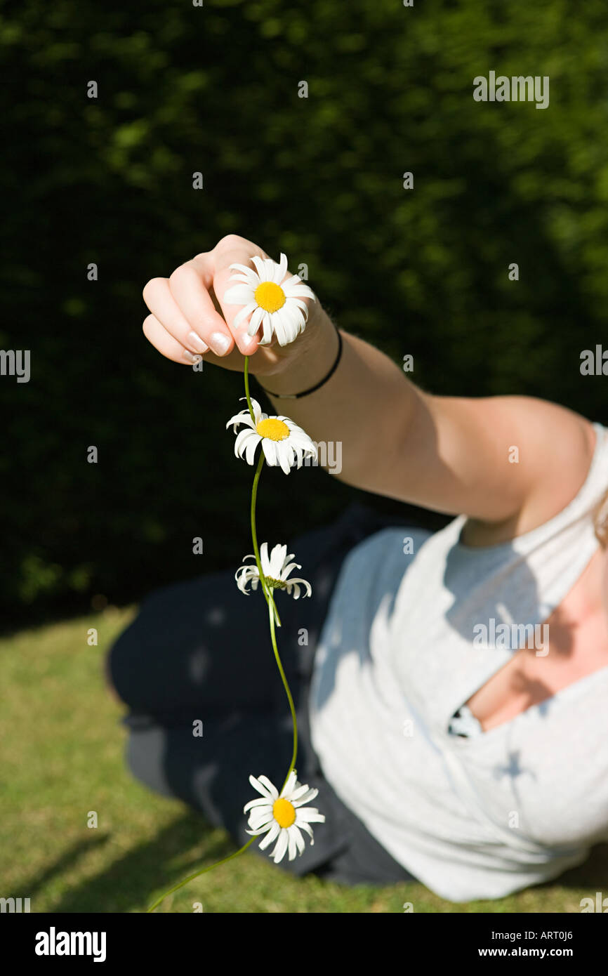 Daisy anatomy hi-res stock photography and images - Alamy