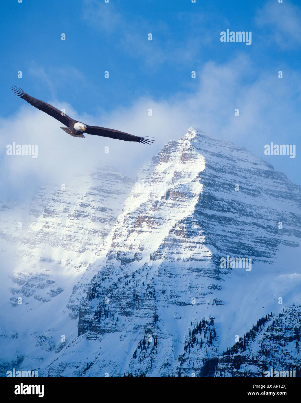 Flying eagle hi-res stock photography and images - Alamy