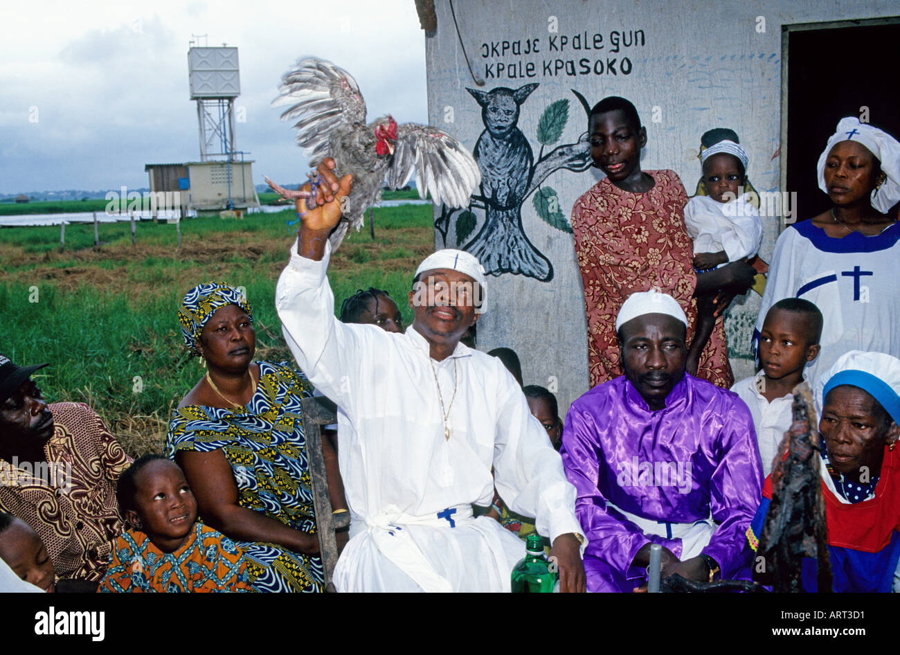 Chicken sacrifice voodoo hi-res stock photography and images - Alamy