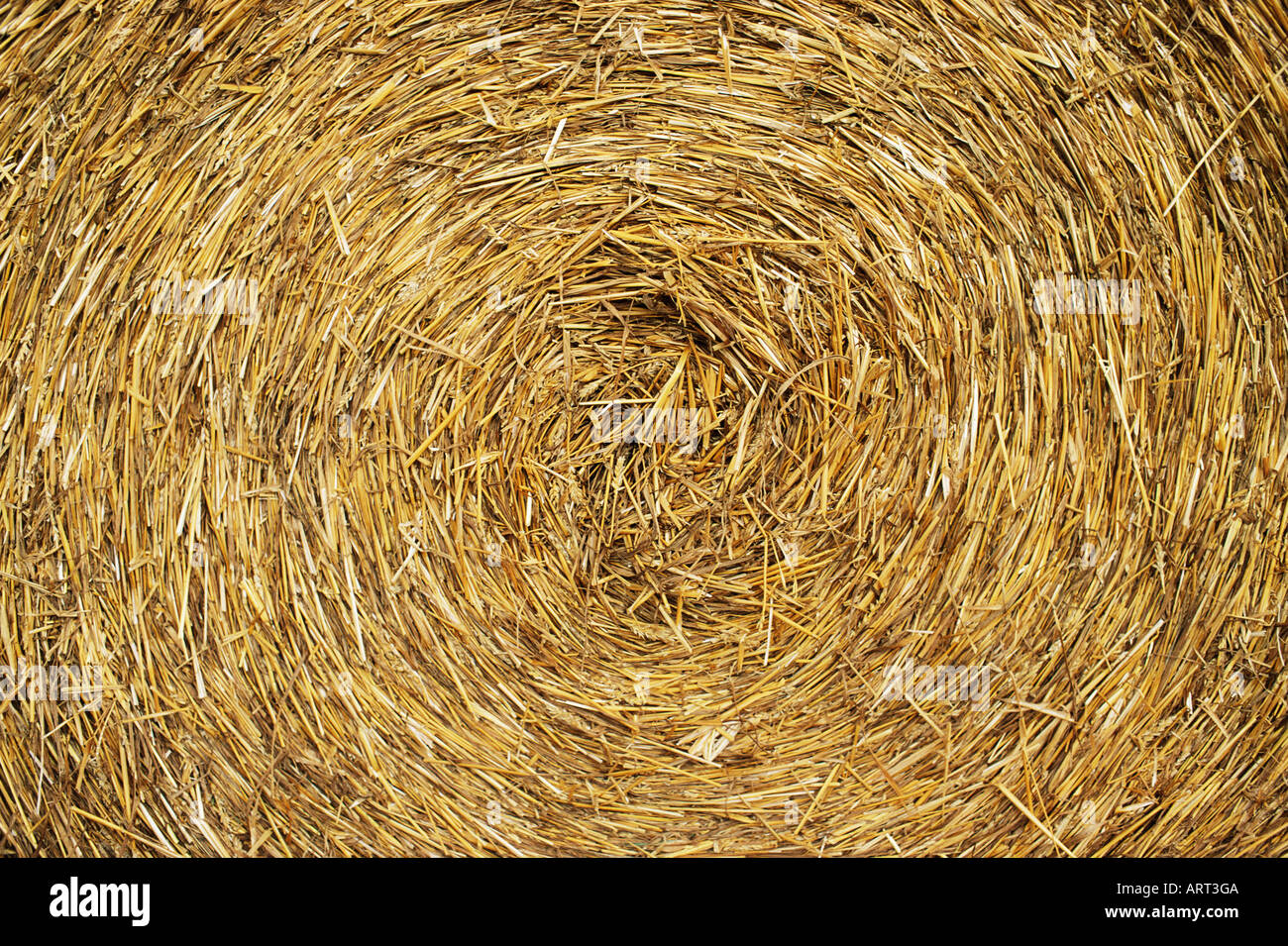Food bale hi-res stock photography and images - Alamy
