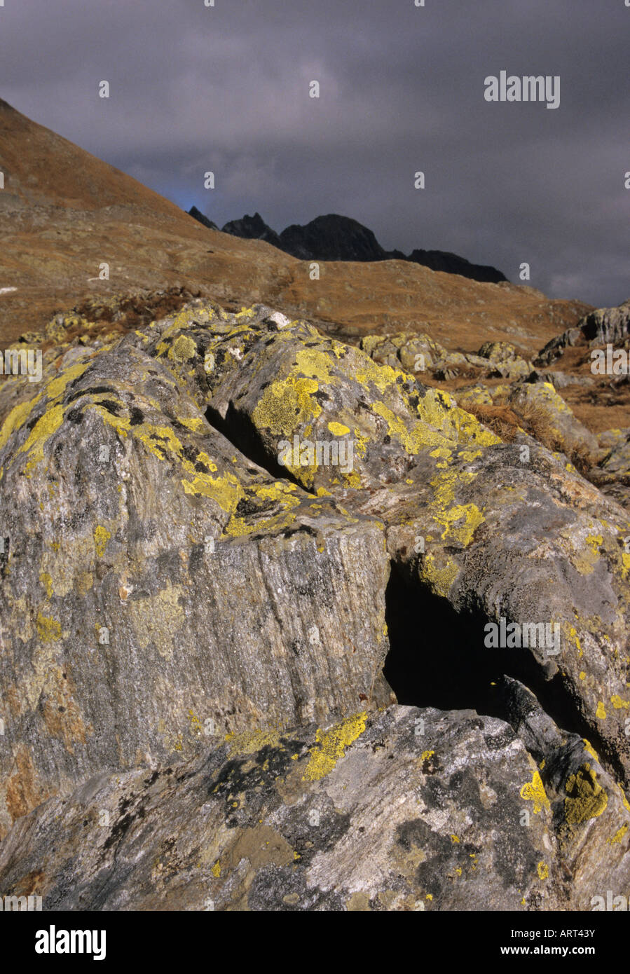 ERRATIC BLOCK SWISS ALPS CANTON VALAIS SWITZERLAND Stock Photo - Alamy