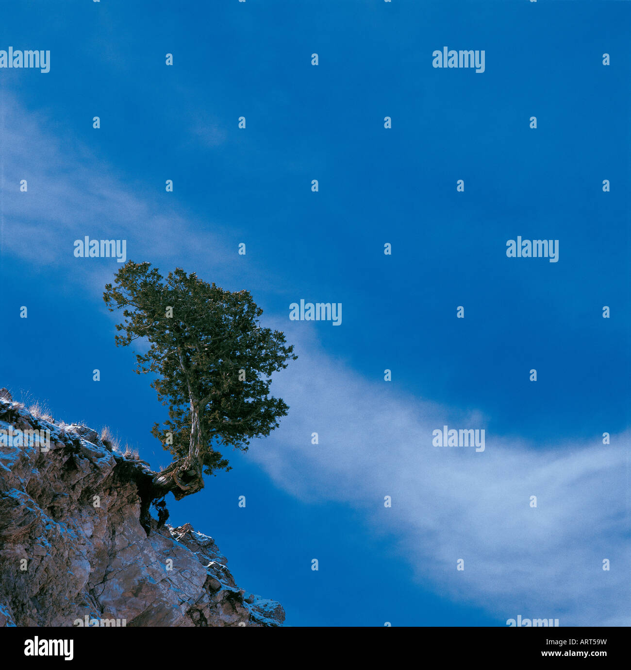 Nicol faridani hi-res stock photography and images - Alamy