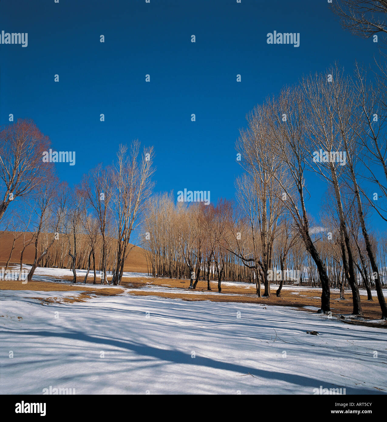 Landscape in Iran Stock Photo - Alamy