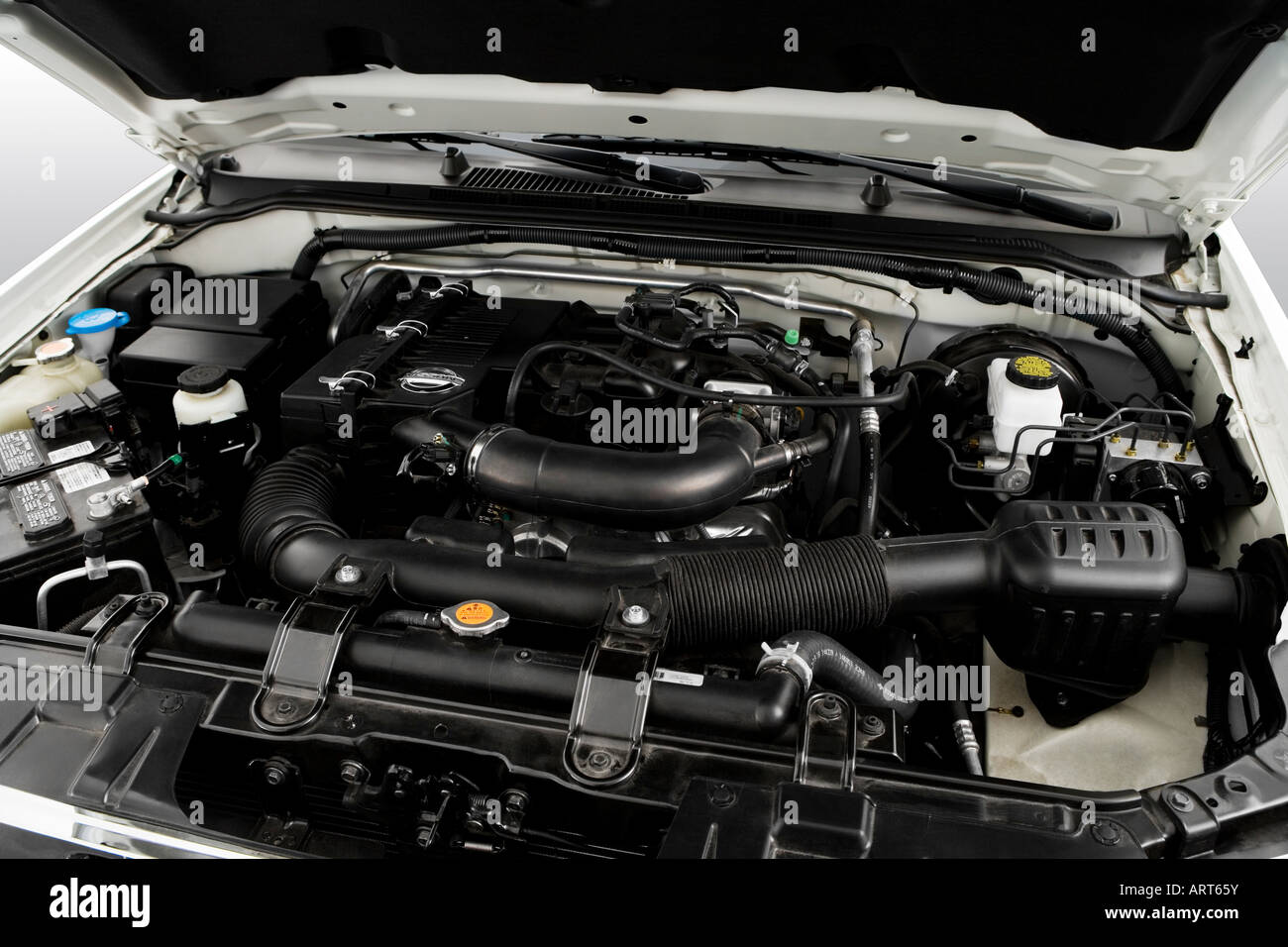 2008 Nissan Frontier SE in White - Engine Stock Photo - Alamy