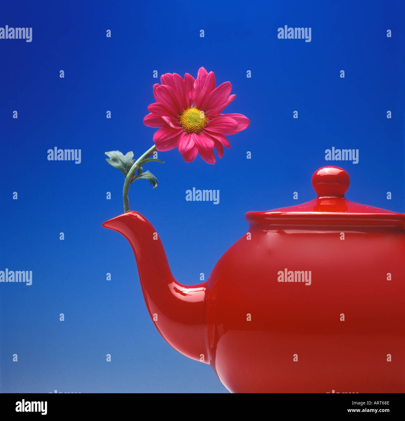 Aesthetic teapot hi-res stock photography and images - Alamy