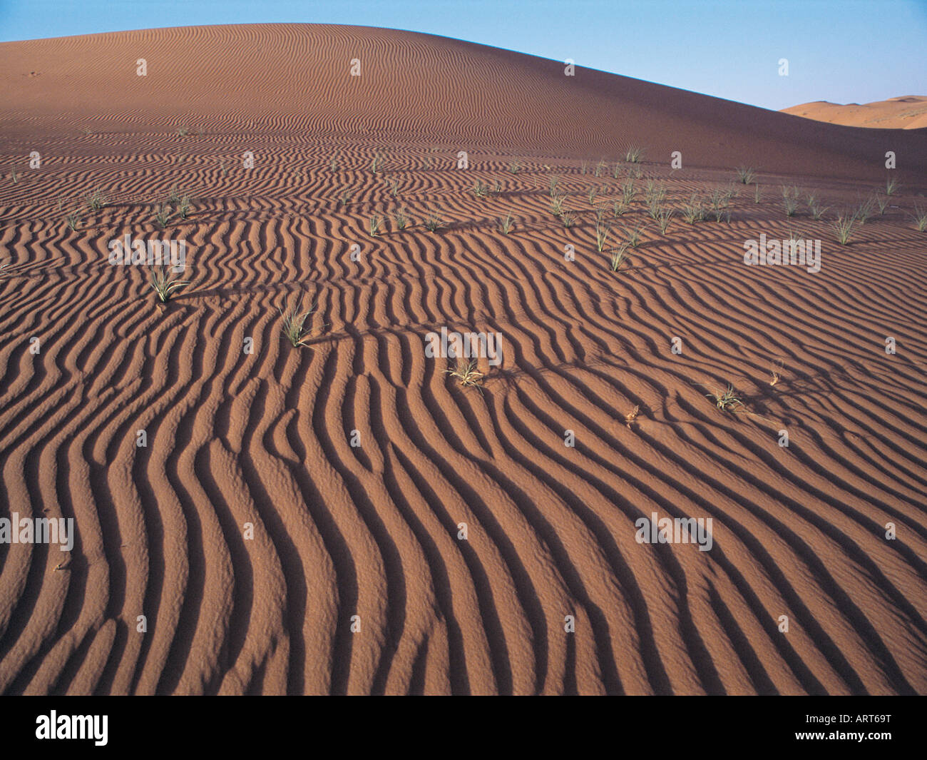Ripples in desert sand near Al Ain, UAE Stock Photo - Alamy