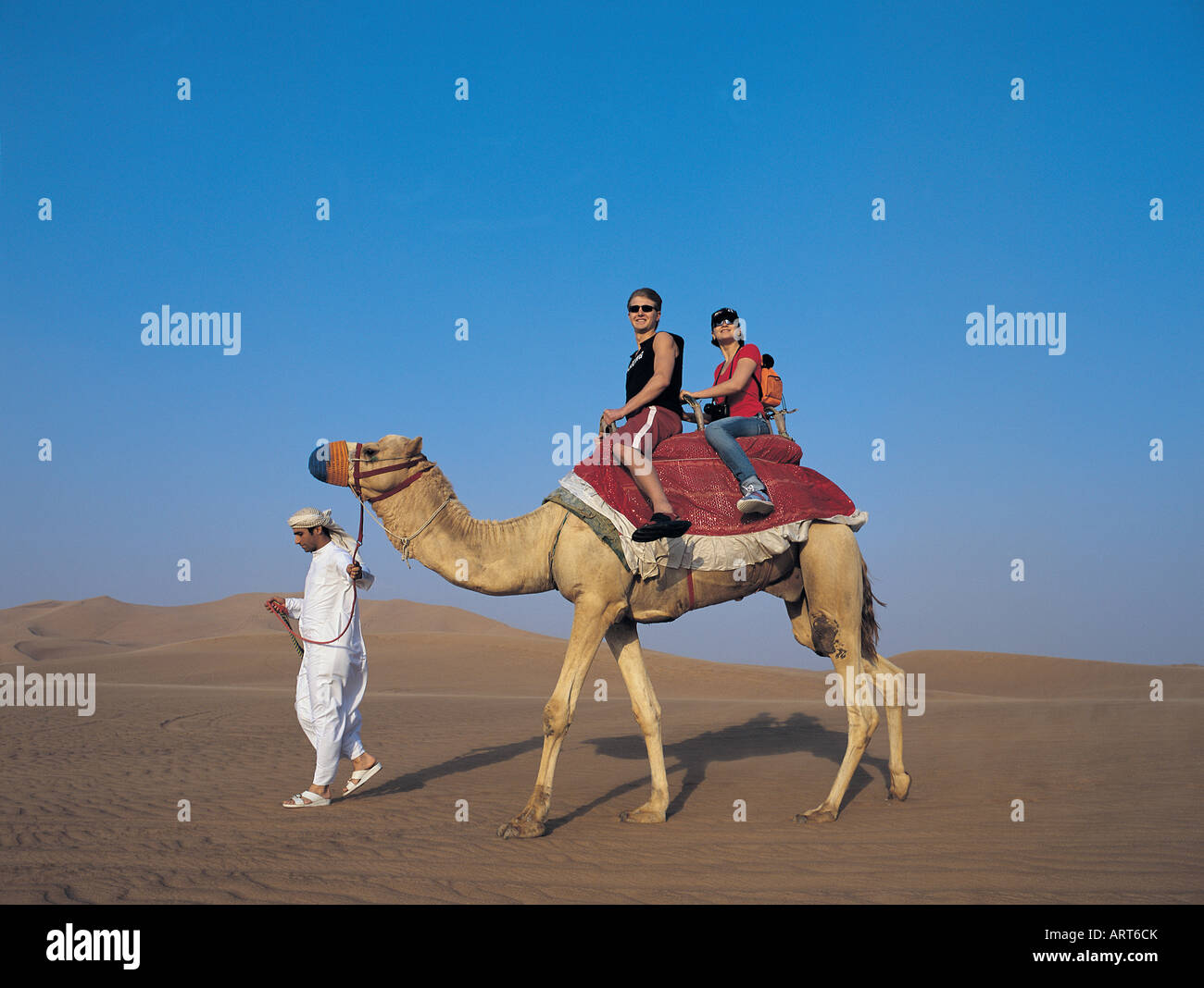 Western couple riding a camel in the desert of the UAE Stock Photo - Alamy