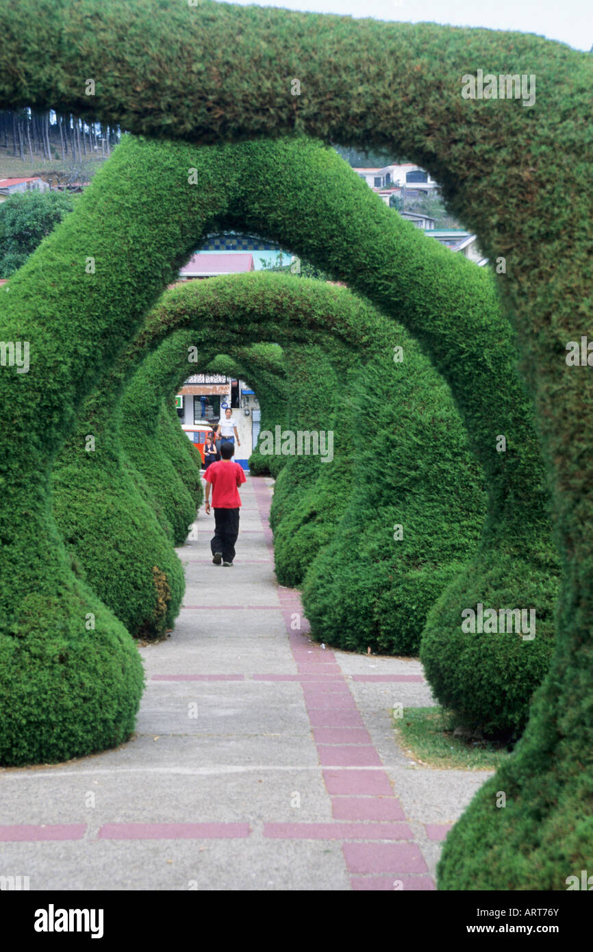 Zarcero topiary hi-res stock photography and images - Alamy