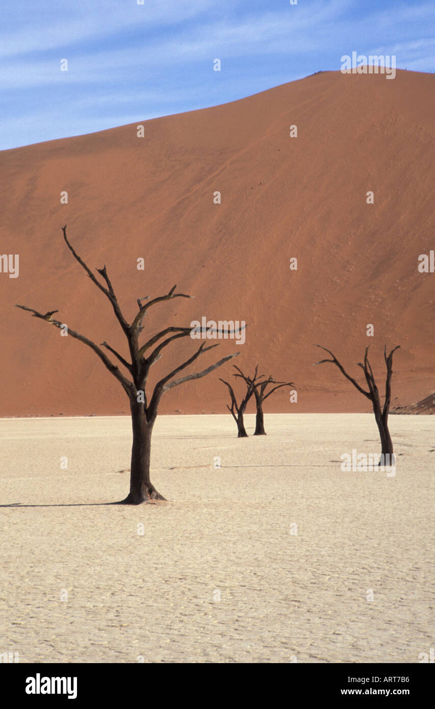 dead trees at Dead Vlei Sossusvlei Namibia Stock Photo - Alamy