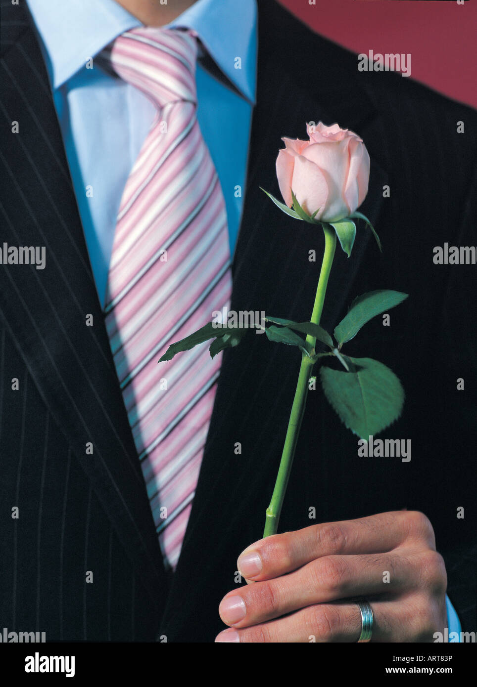 Man holding a single pink rose Stock Photo - Alamy