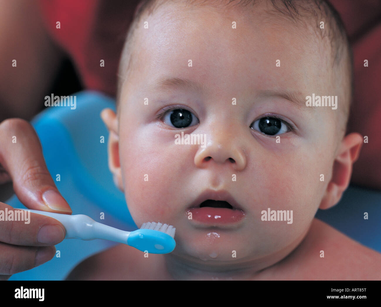 Baby getting teeth brushed Stock Photo - Alamy