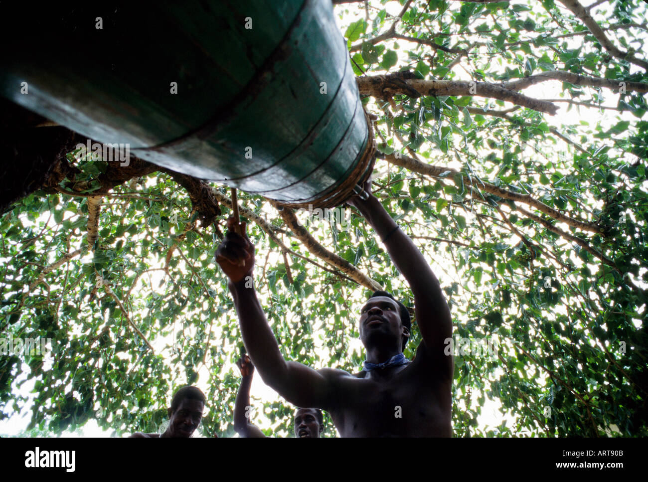 Ewe drum hi-res stock photography and images - Alamy