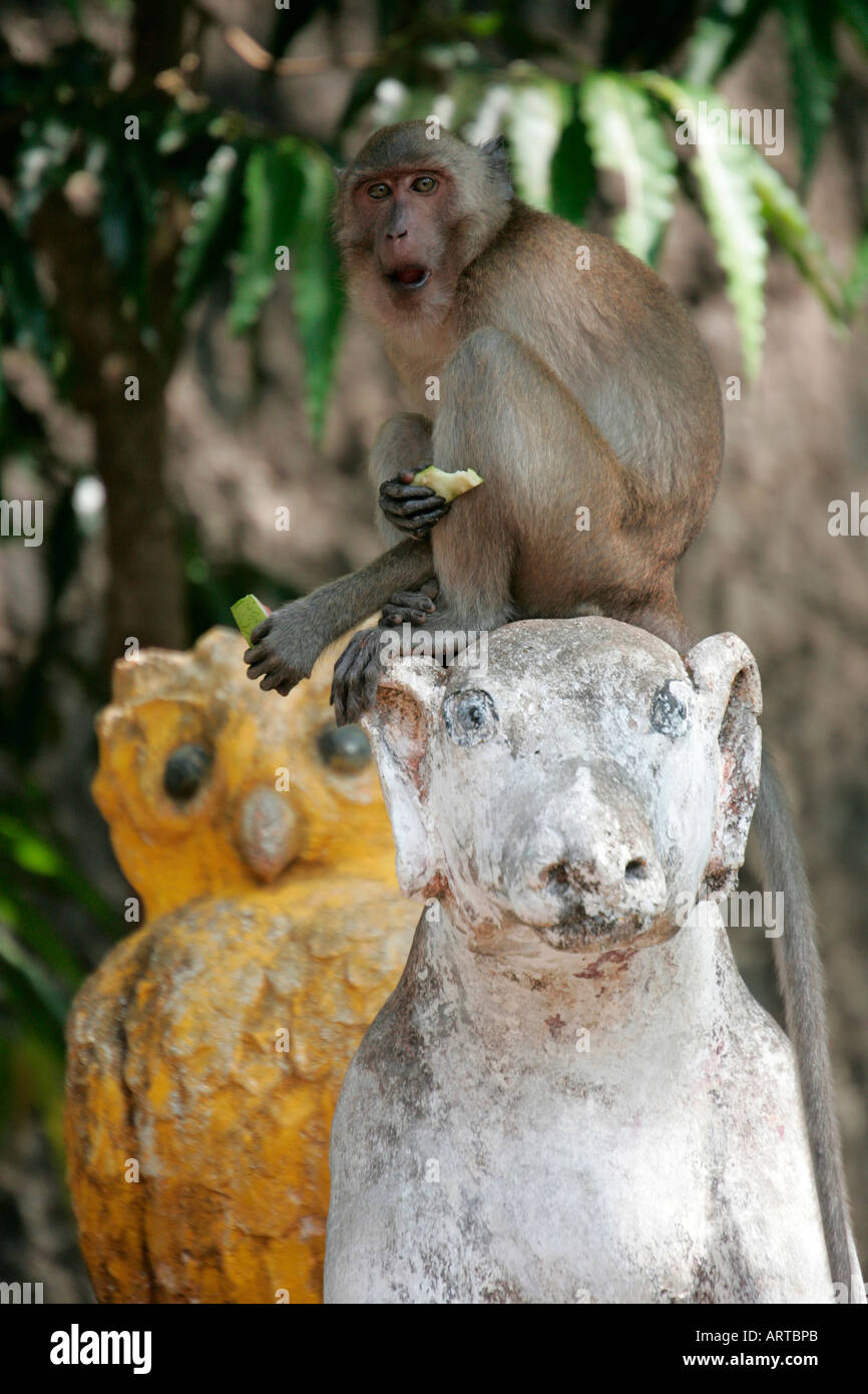 Statue with monkey at a hillside monastery near Moulmein, (Mawlamyaing ...