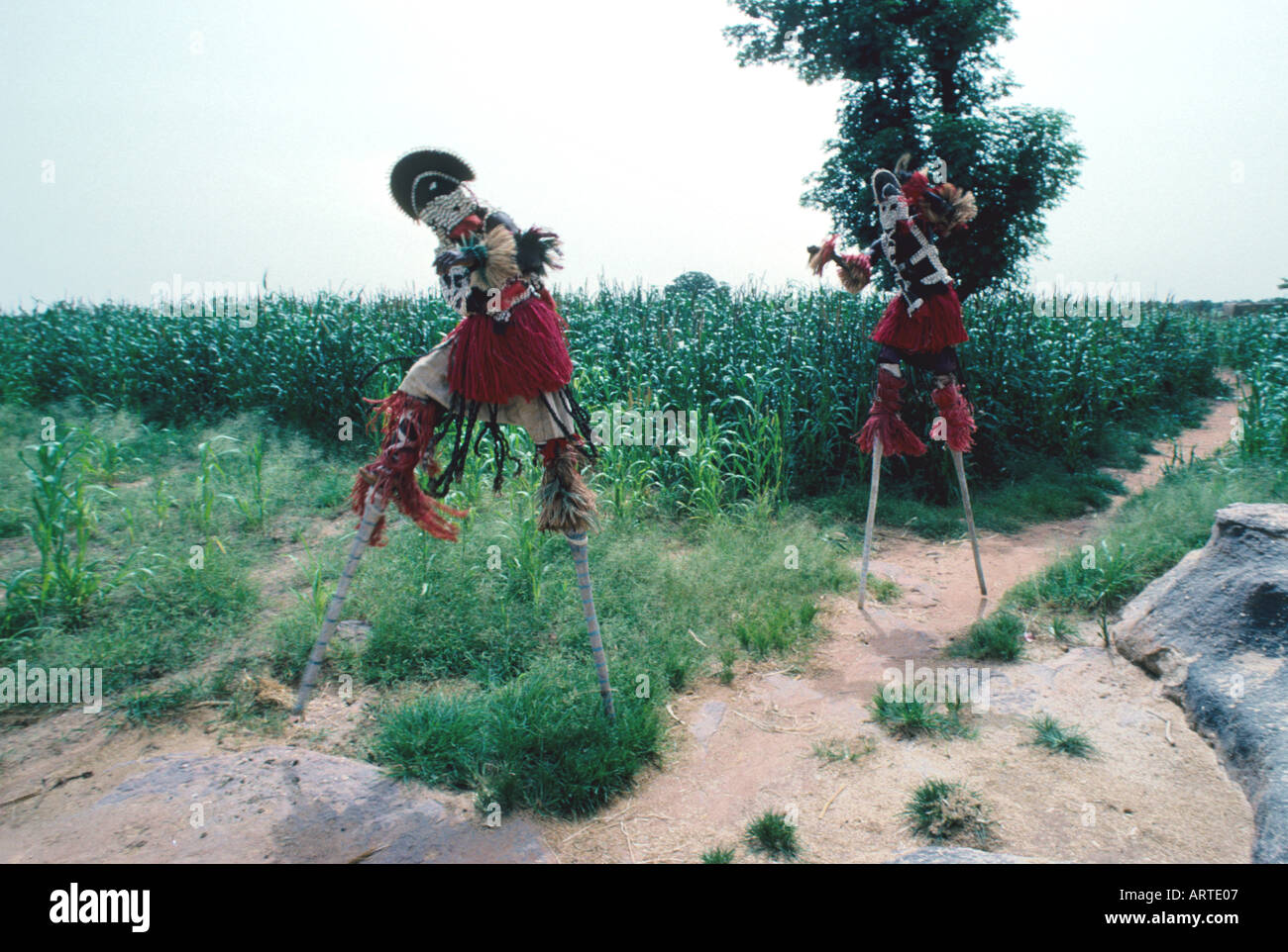 Awa tribe hi-res stock photography and images - Alamy