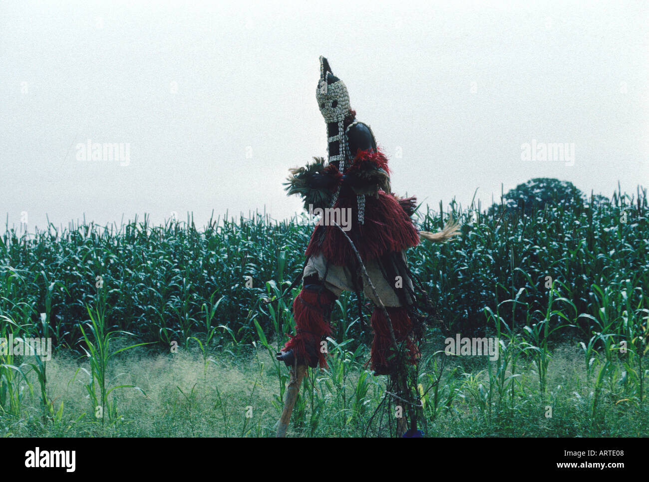 Awa tribe hi-res stock photography and images - Alamy