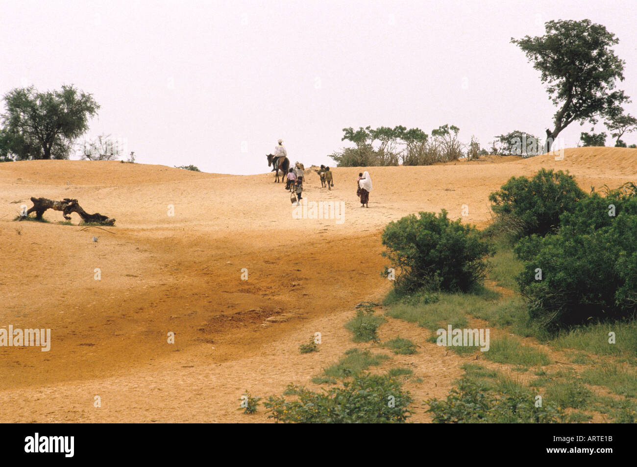 Marabout desert hi-res stock photography and images - Alamy