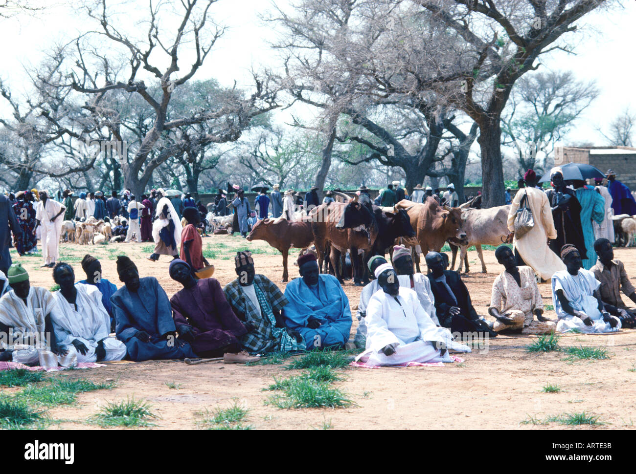 Praying Muslims on the livestock market of Fatoma Betende Muslims auf ...