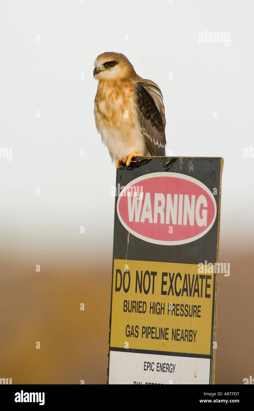 Eagle warning sign hi-res stock photography and images - Alamy