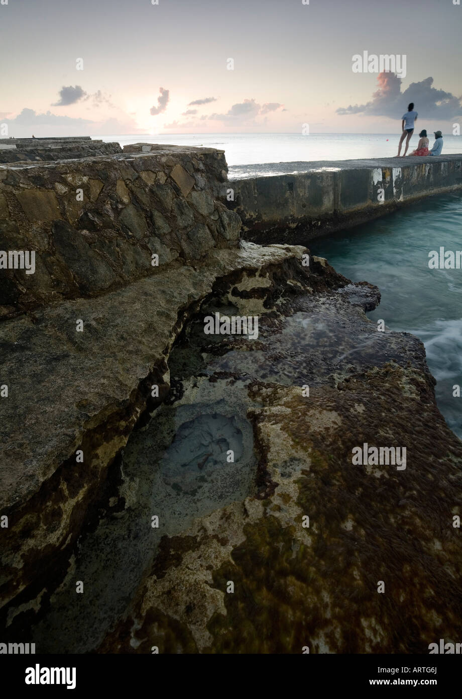 Mexico moss rocks hi-res stock photography and images - Alamy