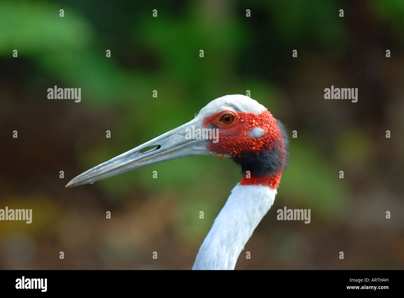 All terrain crane hi-res stock photography and images - Alamy