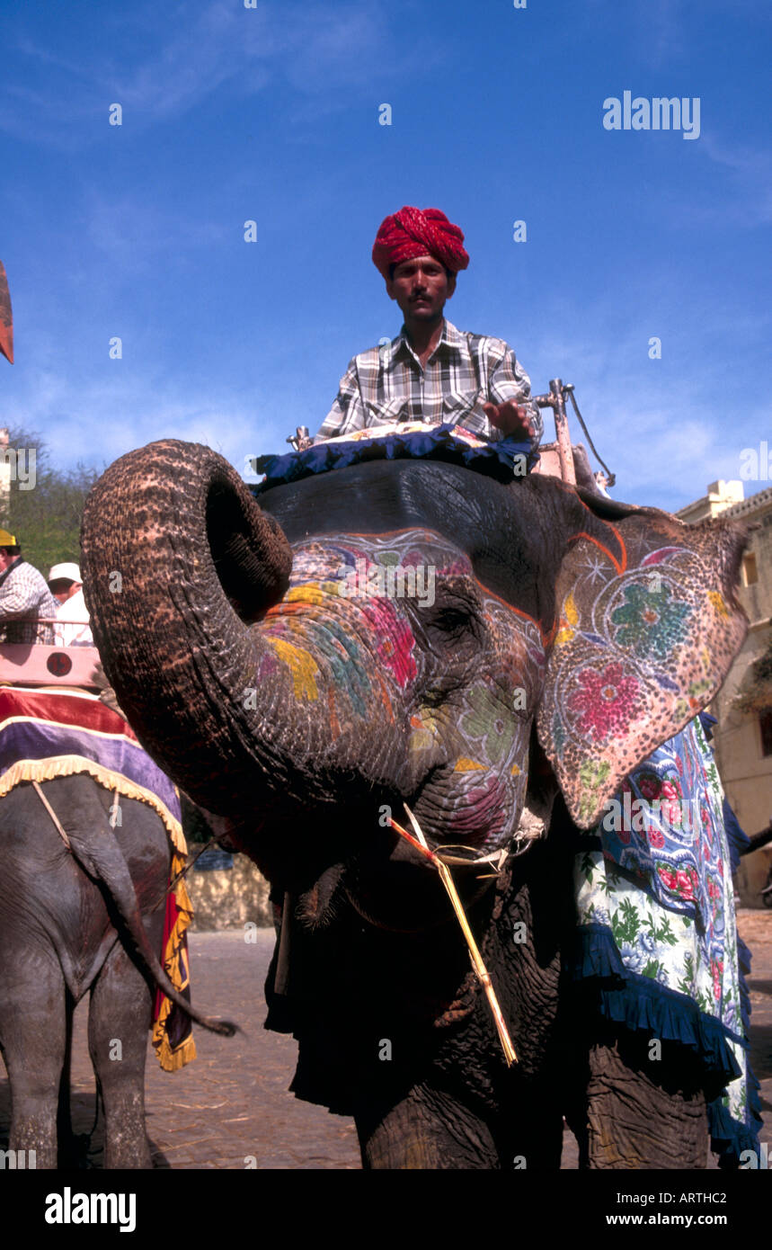 Elephant rider india hi-res stock photography and images - Alamy