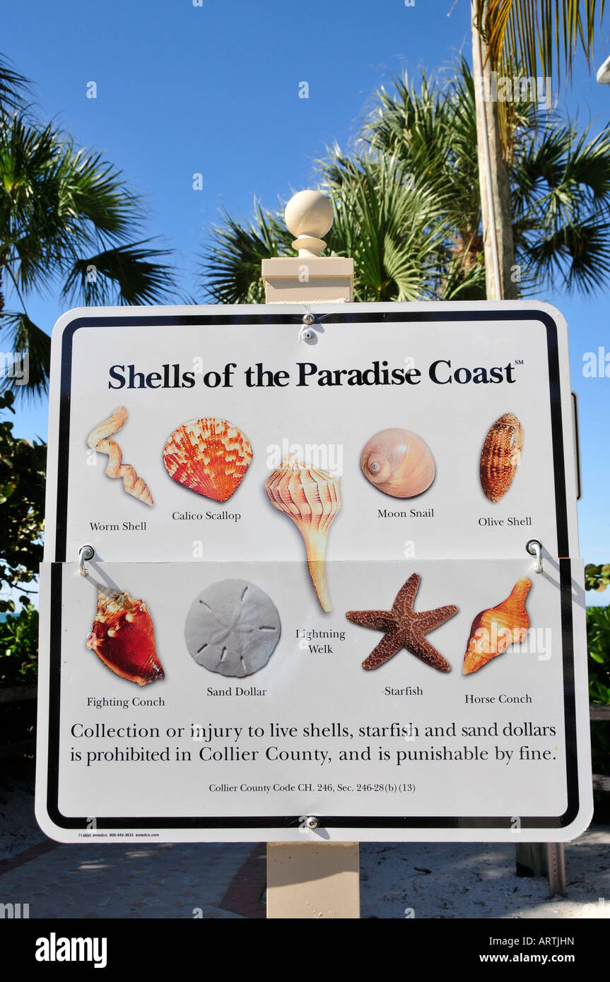 Identification sign of the sea shells of the paradise coast at Fort ...