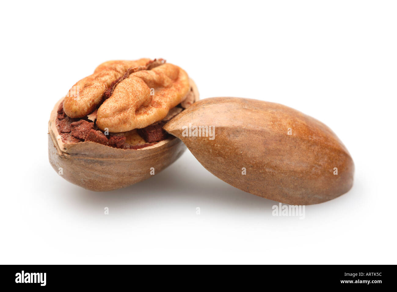 Specimen identify Cut Out Stock Images & Pictures - Alamy