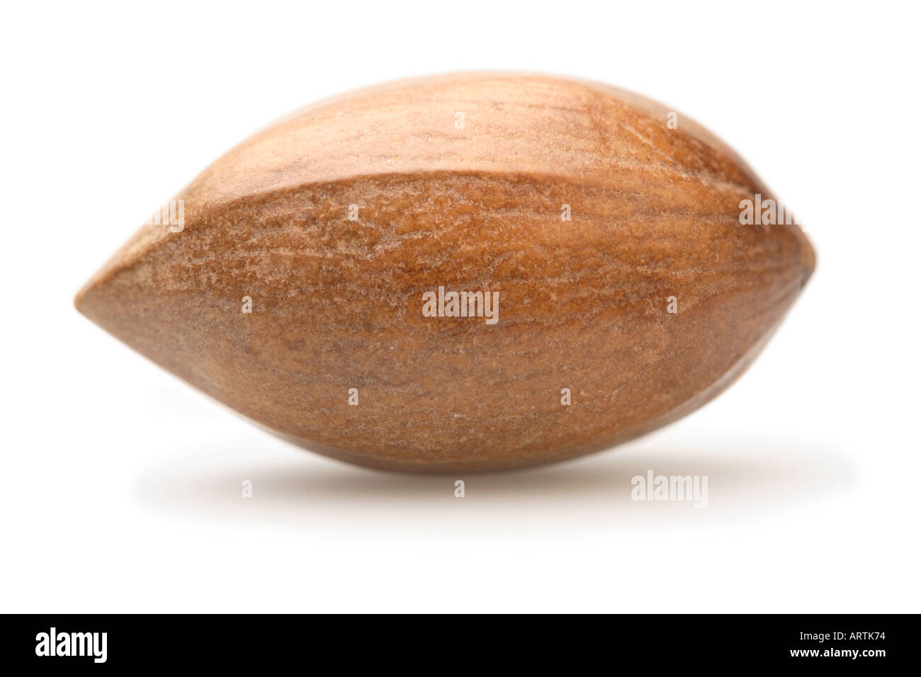 Single pecan nut hi-res stock photography and images - Alamy