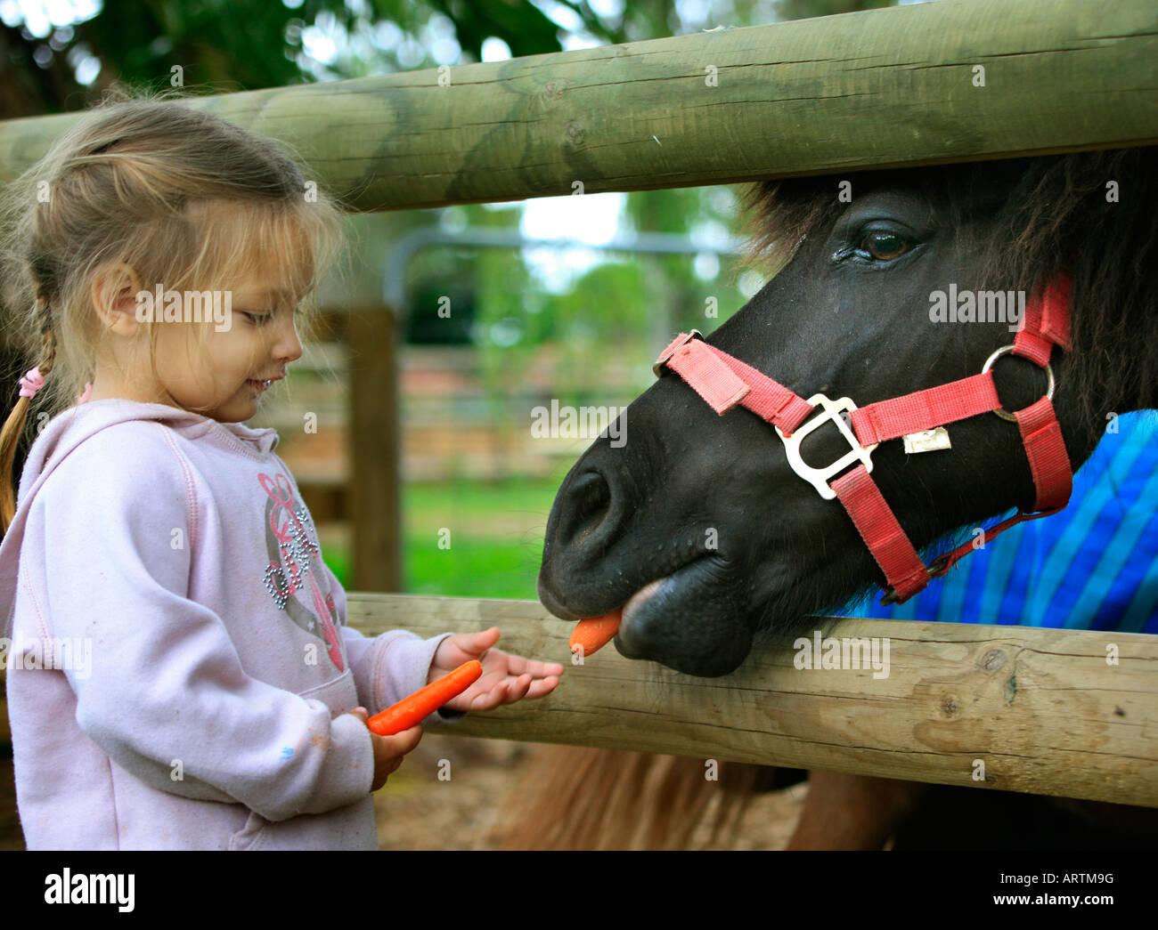 Cute child pony hi-res stock photography and images - Alamy