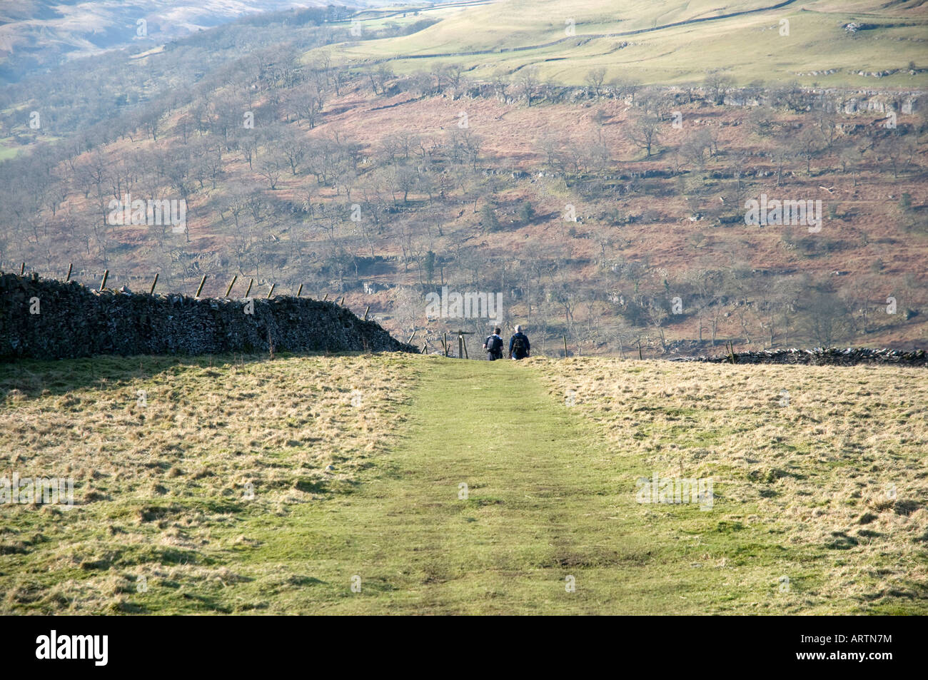 Footpath erosion, Wharfedale, Nr Buckden, Yorkshire Dales, Northern ...