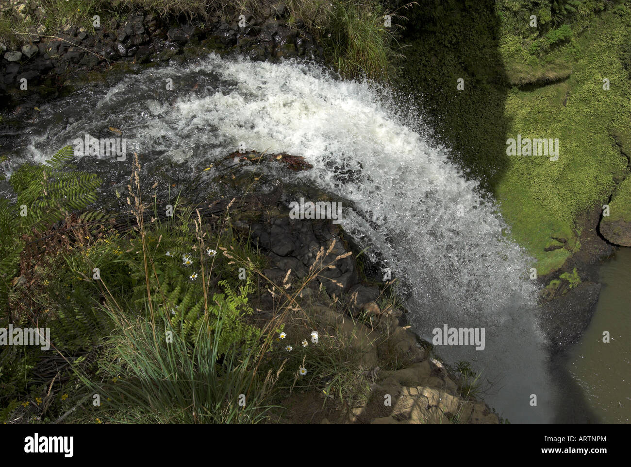 Bridal Veil Waterfall from the top, Raglan, New Zealand Stock Photo - Alamy