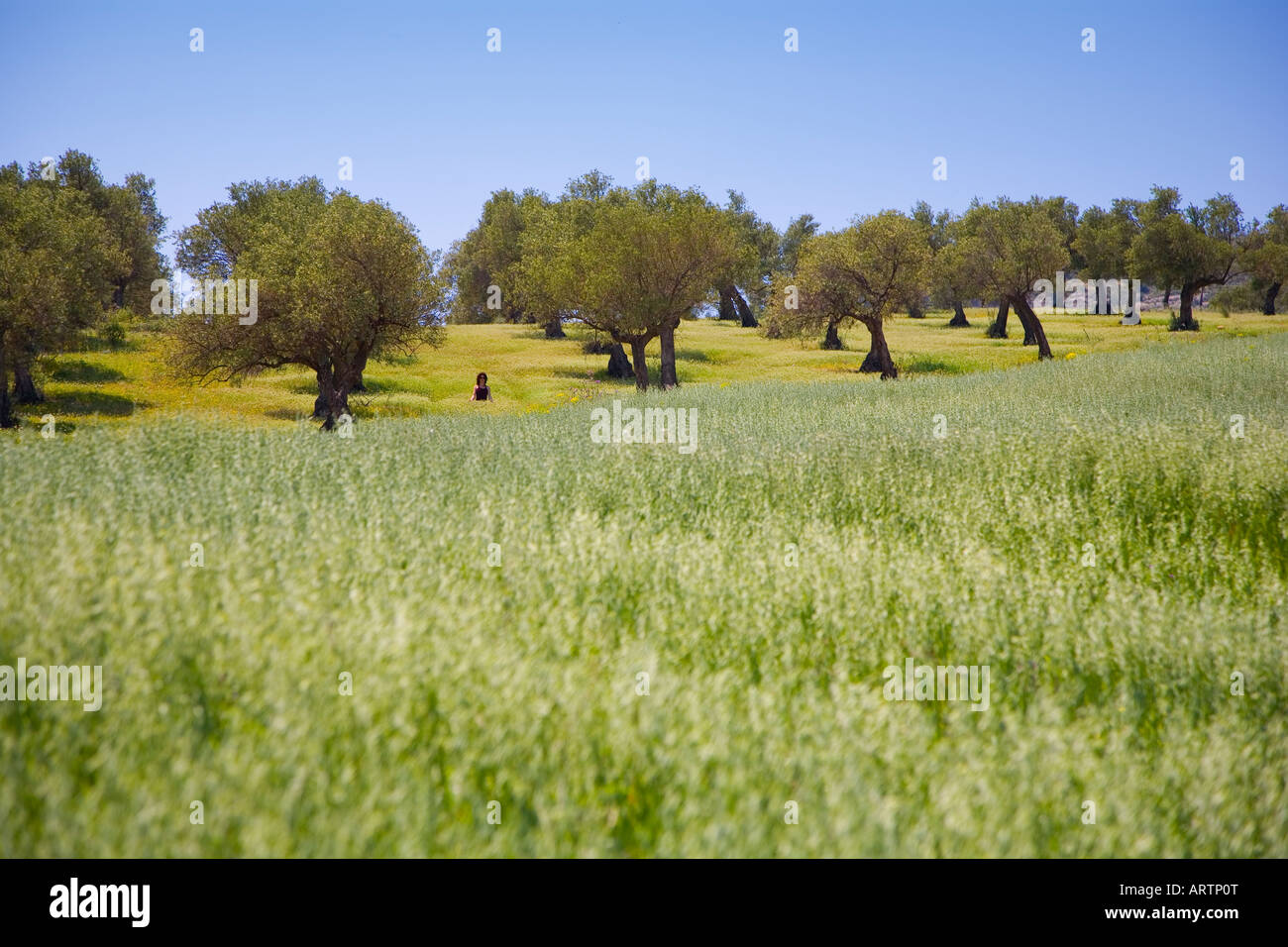 Pueblos del campo hi-res stock photography and images - Alamy
