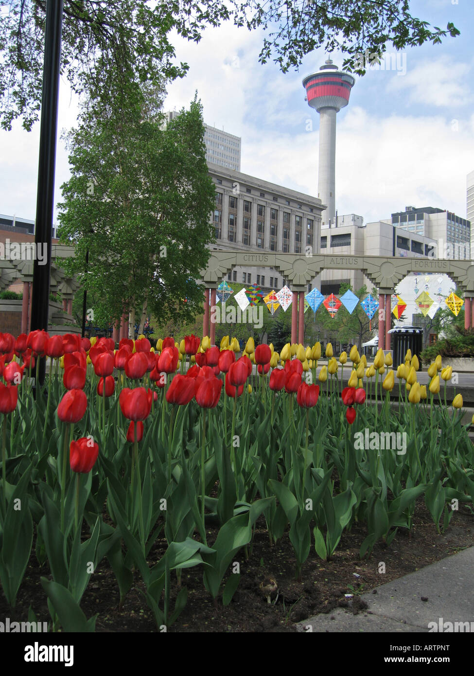 Calgary tower observation deck hi-res stock photography and images - Alamy