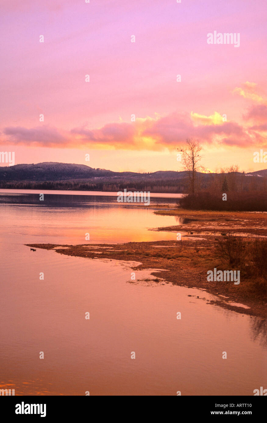 Lake babine british columbia hi-res stock photography and images - Alamy