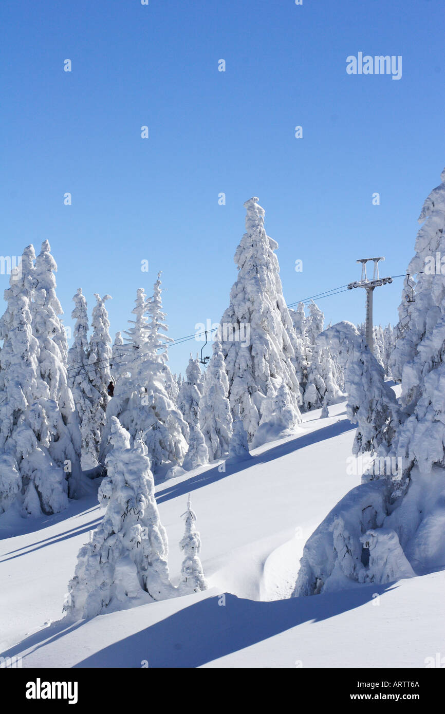 Slope side resorts hi-res stock photography and images - Alamy