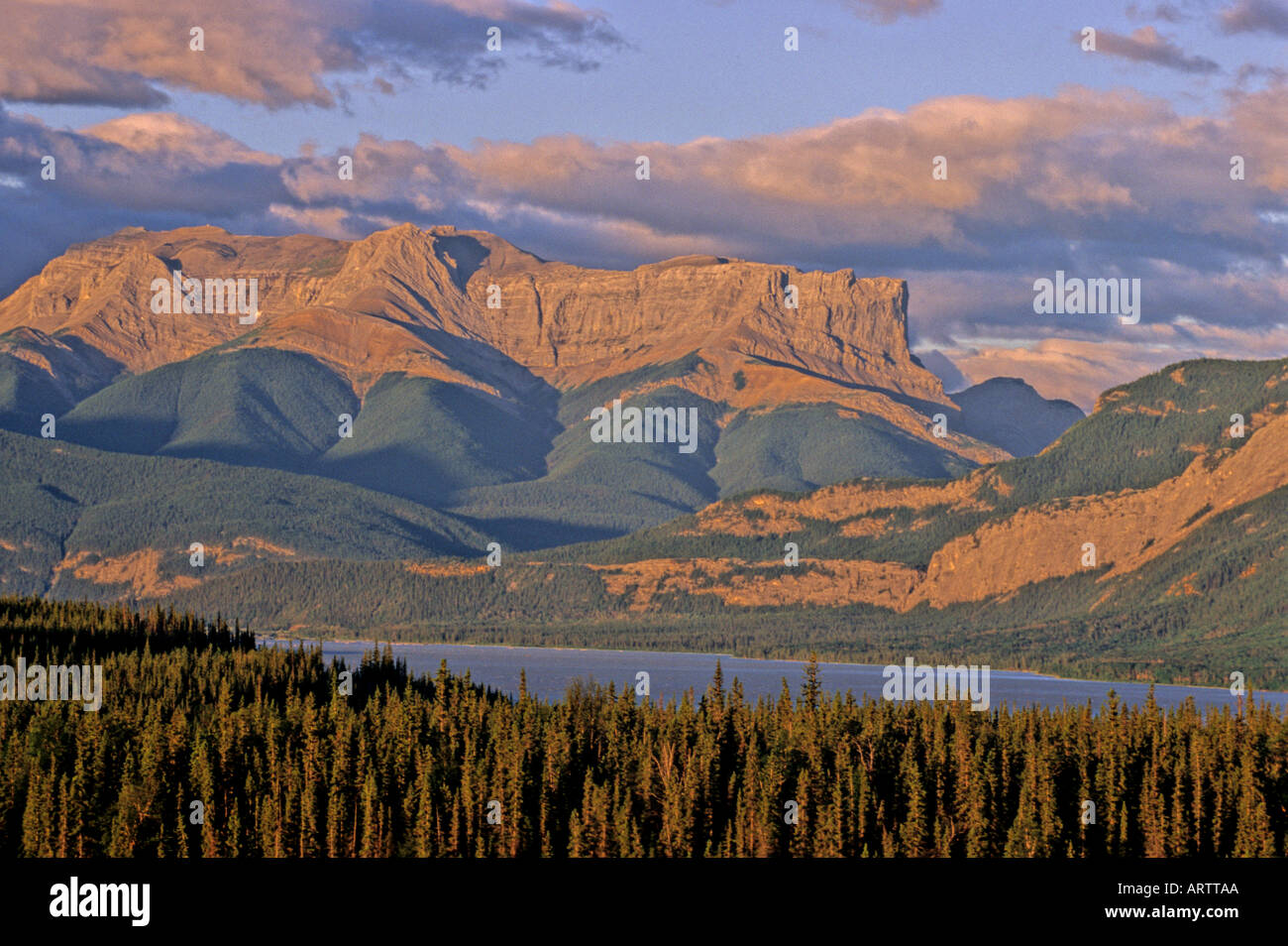 Roche Miette Jasper National Park High Resolution Stock Photography and ...