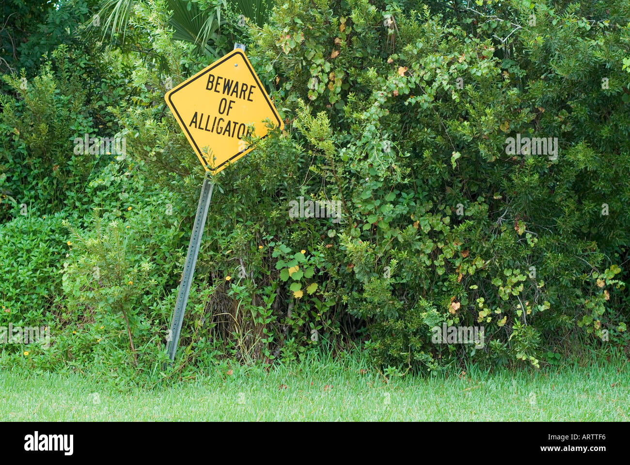 beware of alligator warning sign danger caution Stock Photo - Alamy