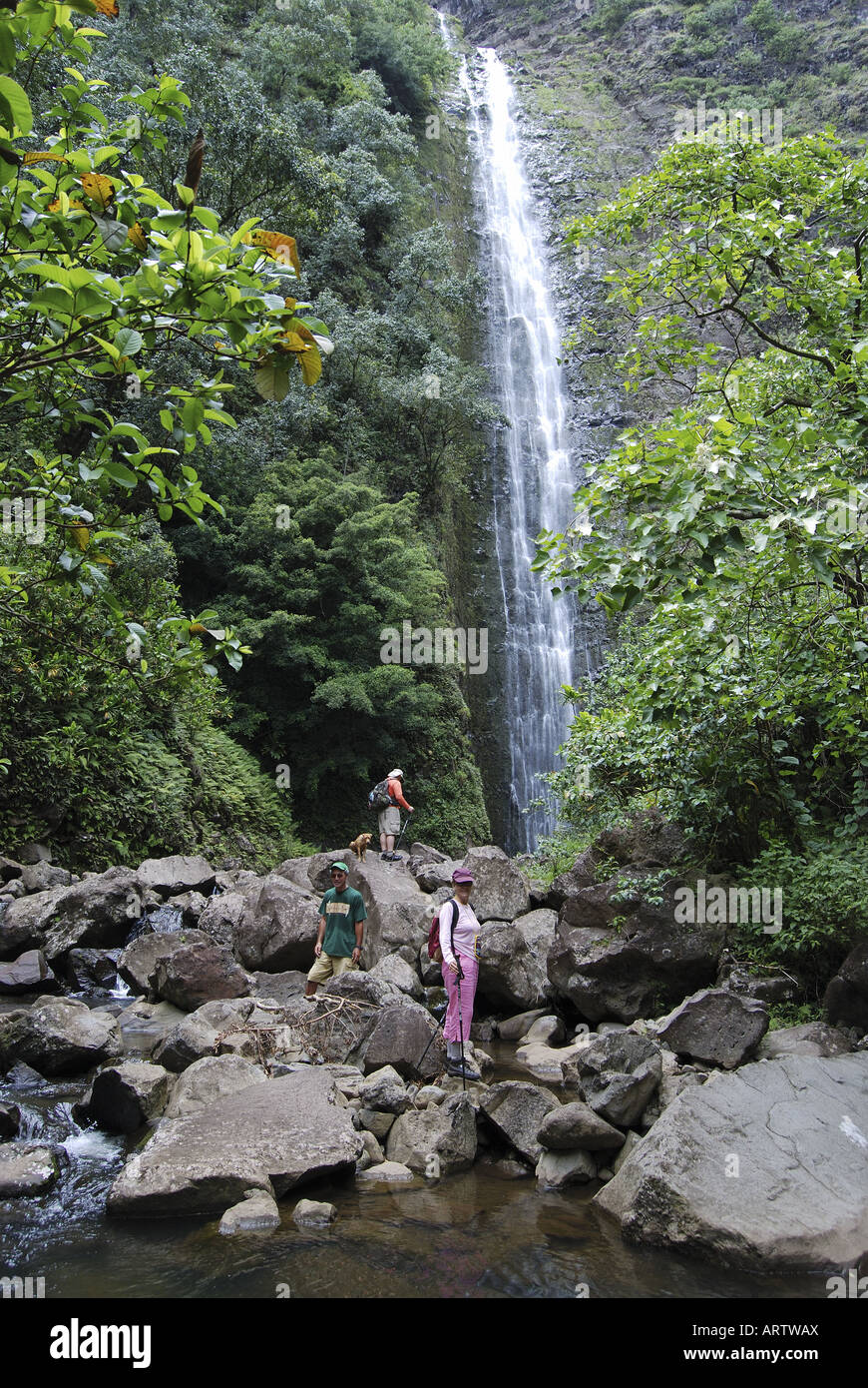 Halawa artwax hi-res stock photography and images - Alamy