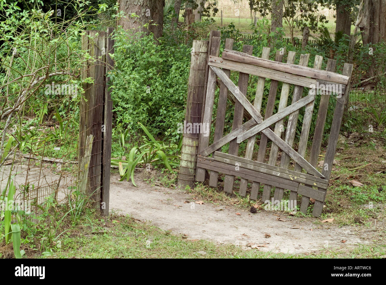 Dudley Farm Historic State Park Newberry Florida open garden gate Stock ...