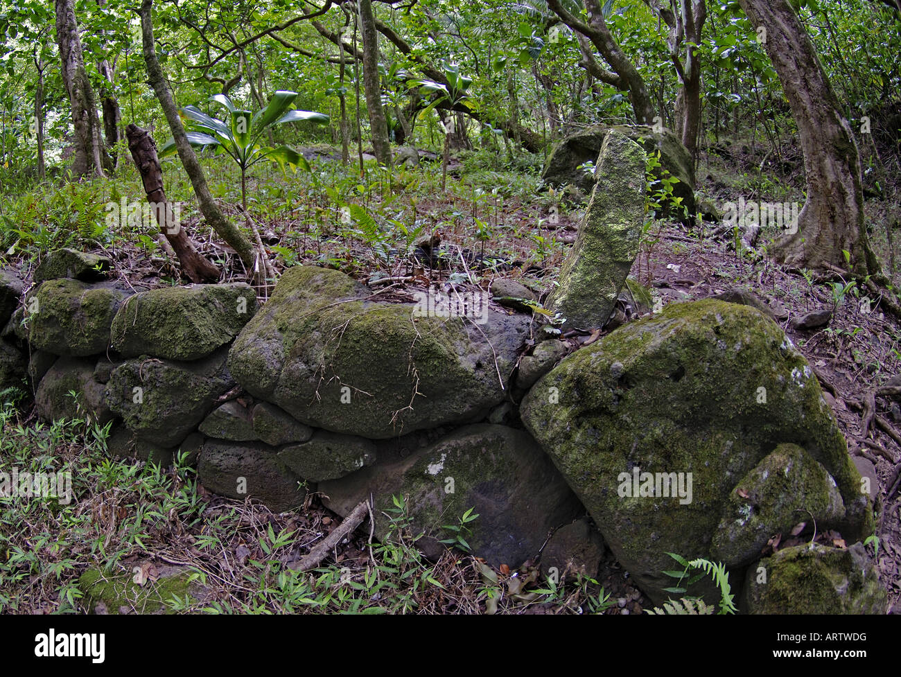 Halawa valley falls hi-res stock photography and images - Alamy