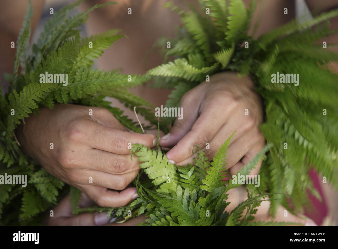 Male (kane) hula dancer deep in thought, wearing palapalai fern head ...