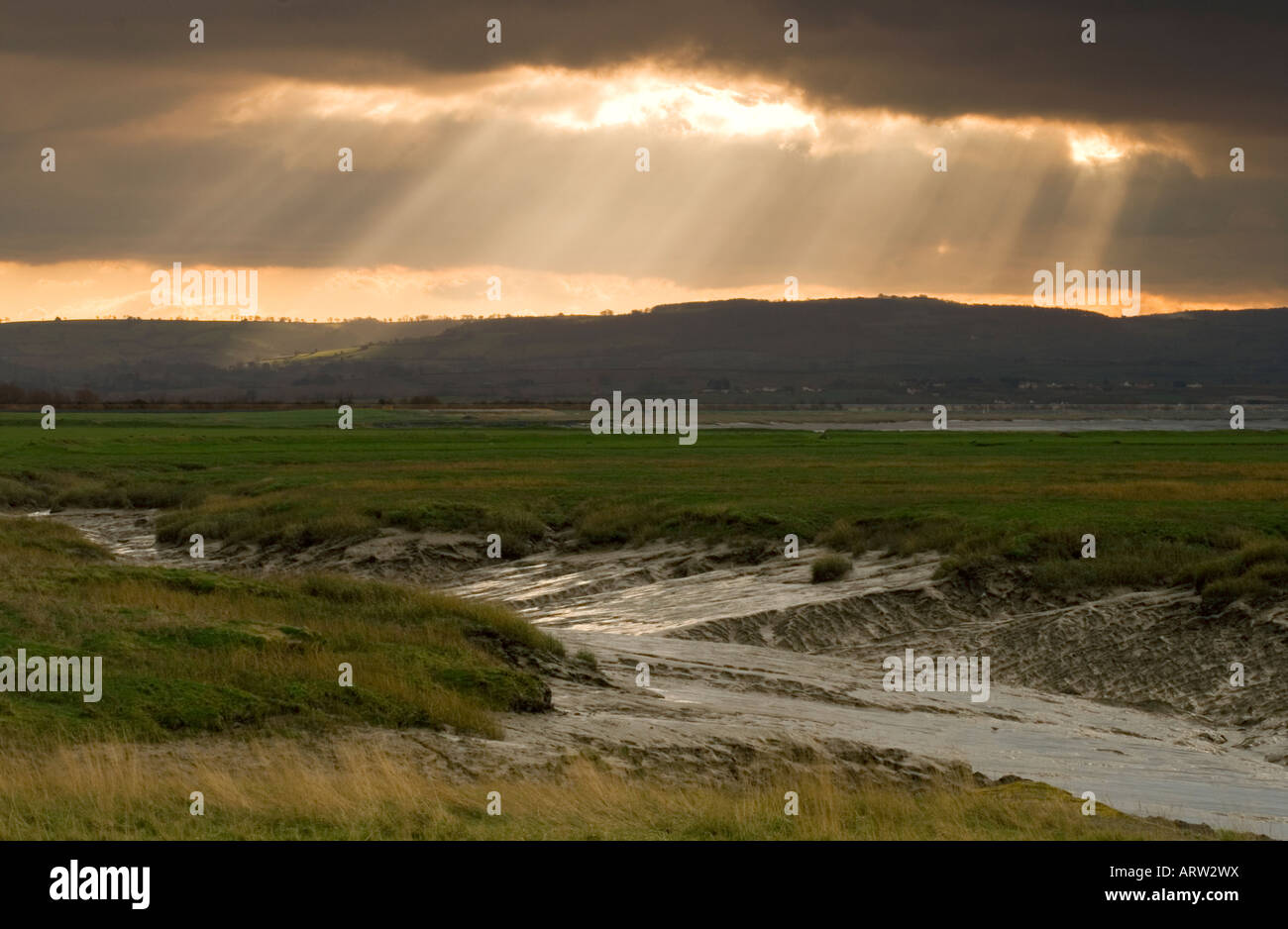 A stray beam of sunlight catches the Quantock Hills across saltings ...