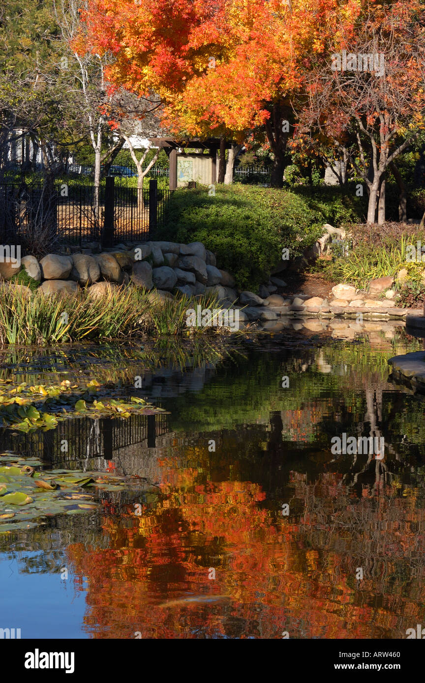 Alice Keck Park Stock Photo - Alamy