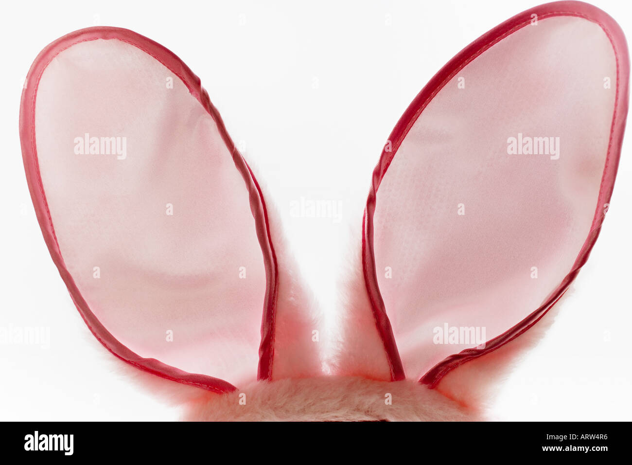Ears anatomy hi-res stock photography and images - Alamy