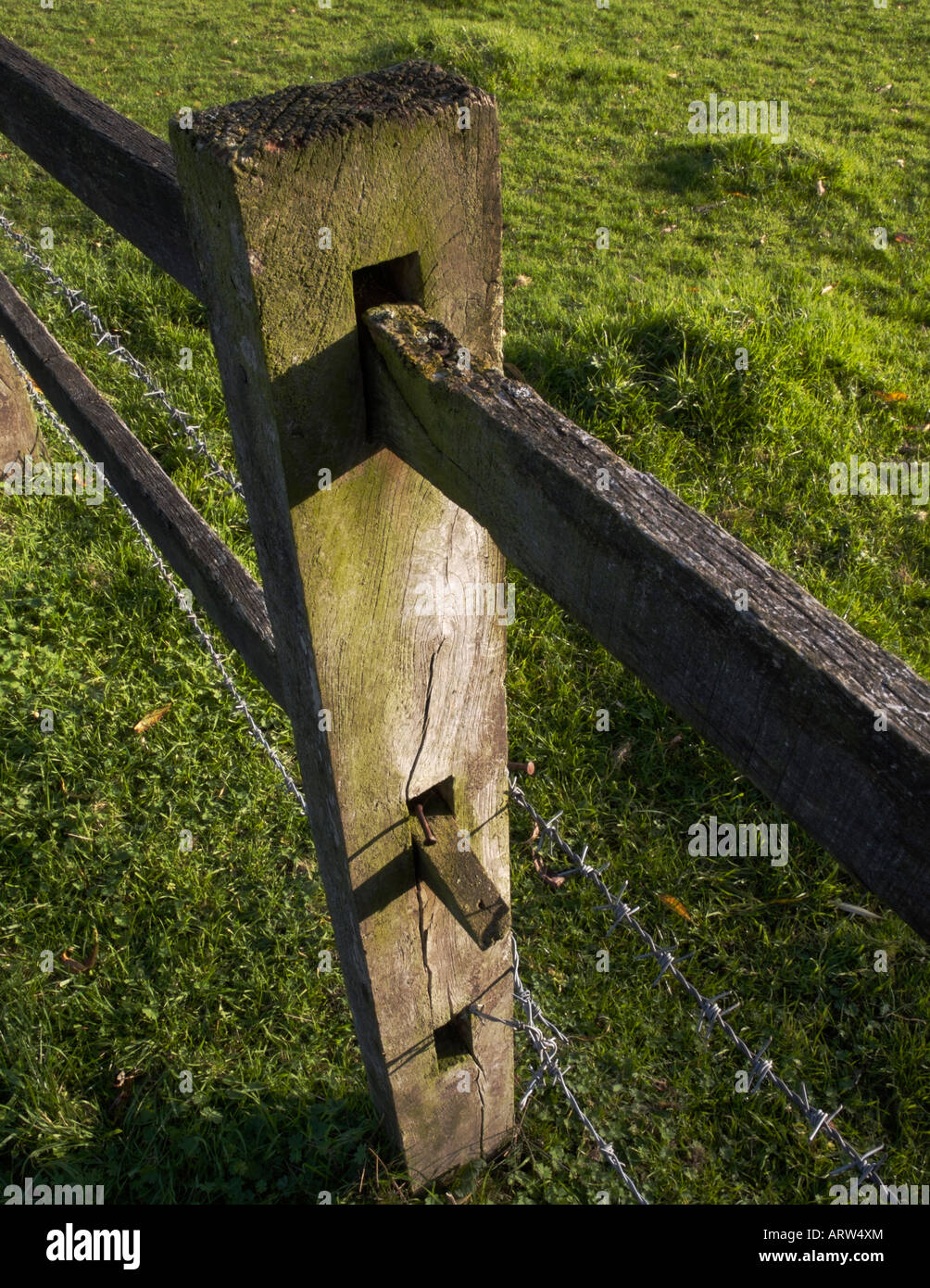 Fence Post in Field UK Stock Photo - Alamy
