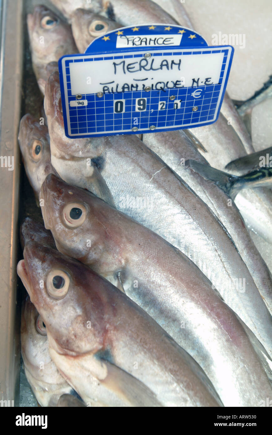 Merlan hi-res stock photography and images - Alamy