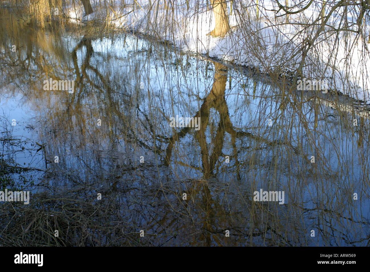 Denham bucks hi-res stock photography and images - Alamy