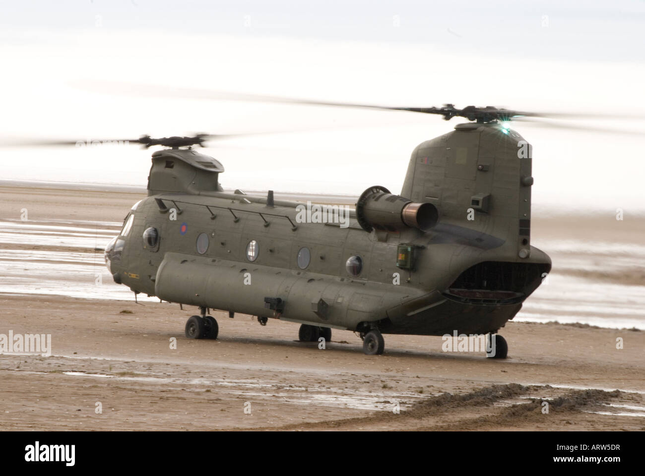 Chinook on the beach Stock Photo - Alamy