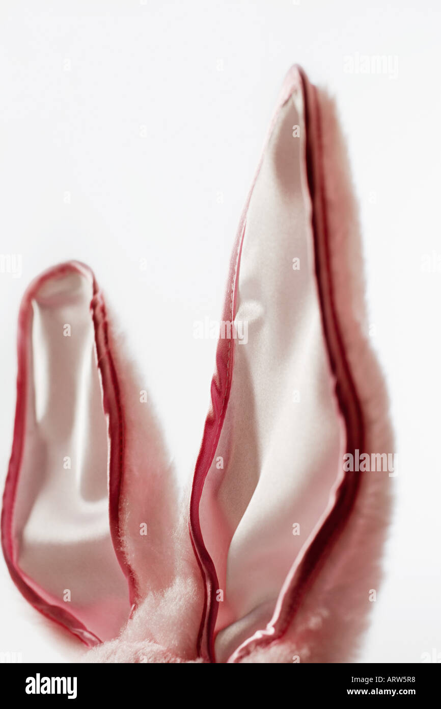 Ears anatomy hi-res stock photography and images - Alamy